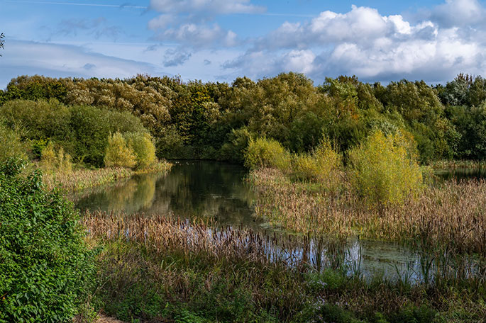 Pennington Flash Nature Reserve