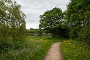 Low Hall Nature Reserve